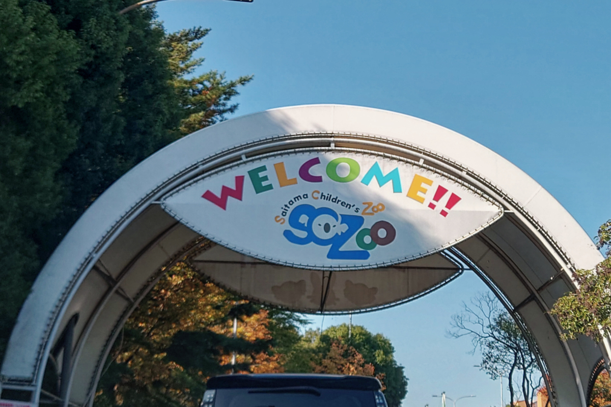 Penguin’s Day | aoki-net